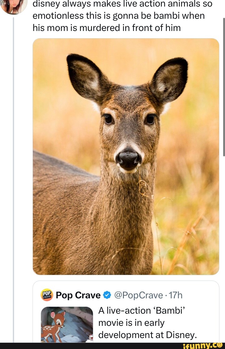 Disney always makes live action animals so emotionless this is gonna be ...