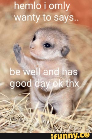 Hemlo memes. Best Collection of funny Hemlo pictures on iFunny