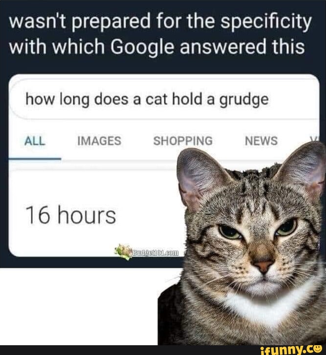 Specificity memes. Best Collection of funny Specificity pictures on iFunny