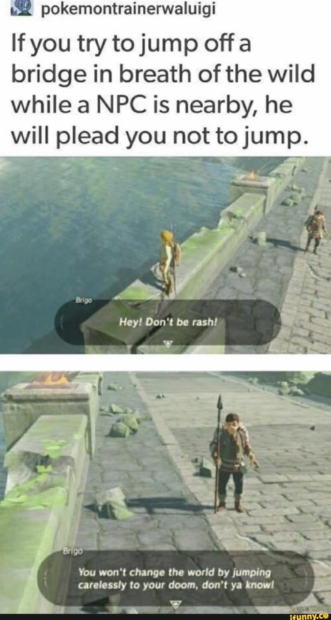 Pokemontrainerwaluigi memes. Best Collection of funny ...