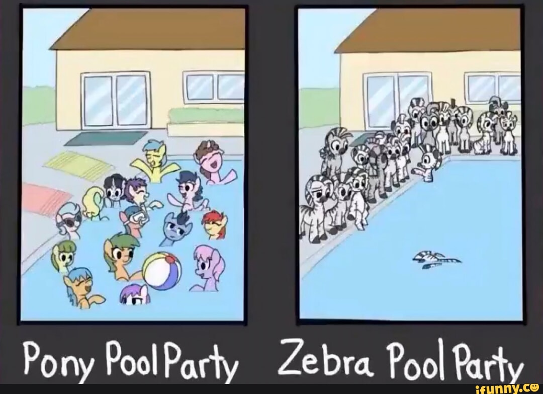 Po Pool Party Po - iFunny