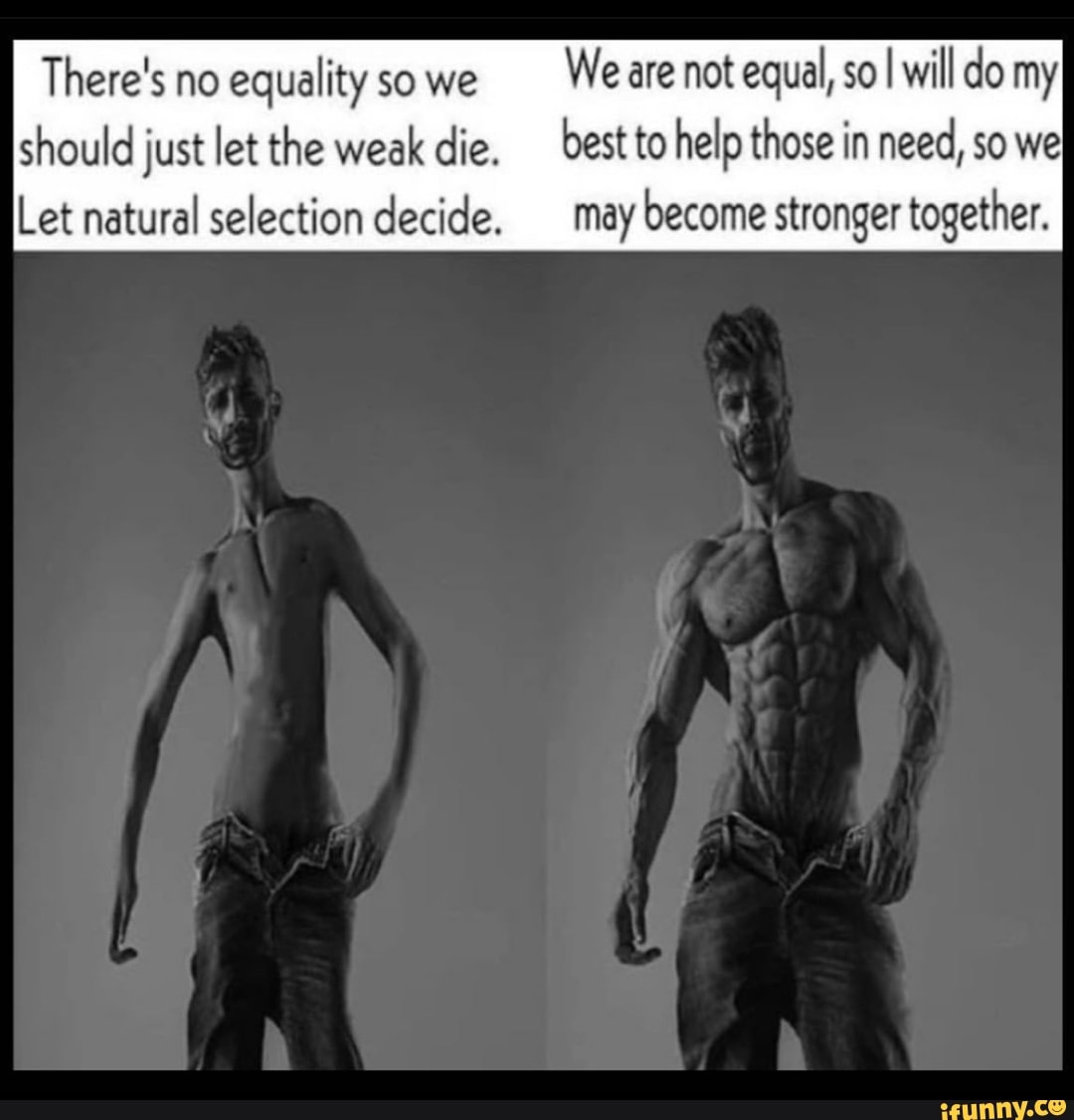 There's no equality so we We ave not equal, sol will do my should just ...