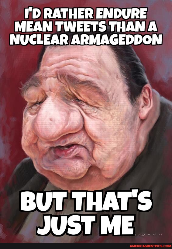 I'D RATHER ENDURE MEAN TWEETS THAN A NUCLEAR ARMAGEDDON BUT THAT'S JUST ...