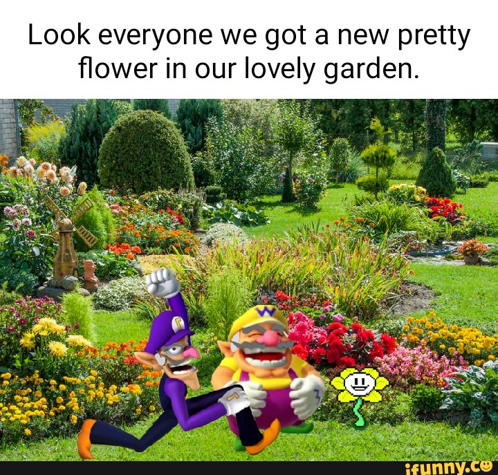 Flowey memes. Best Collection of funny Flowey pictures on iFunny