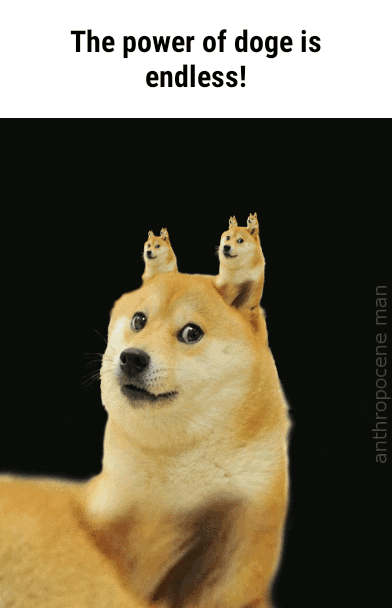 The power of doge is endless! - iFunny
