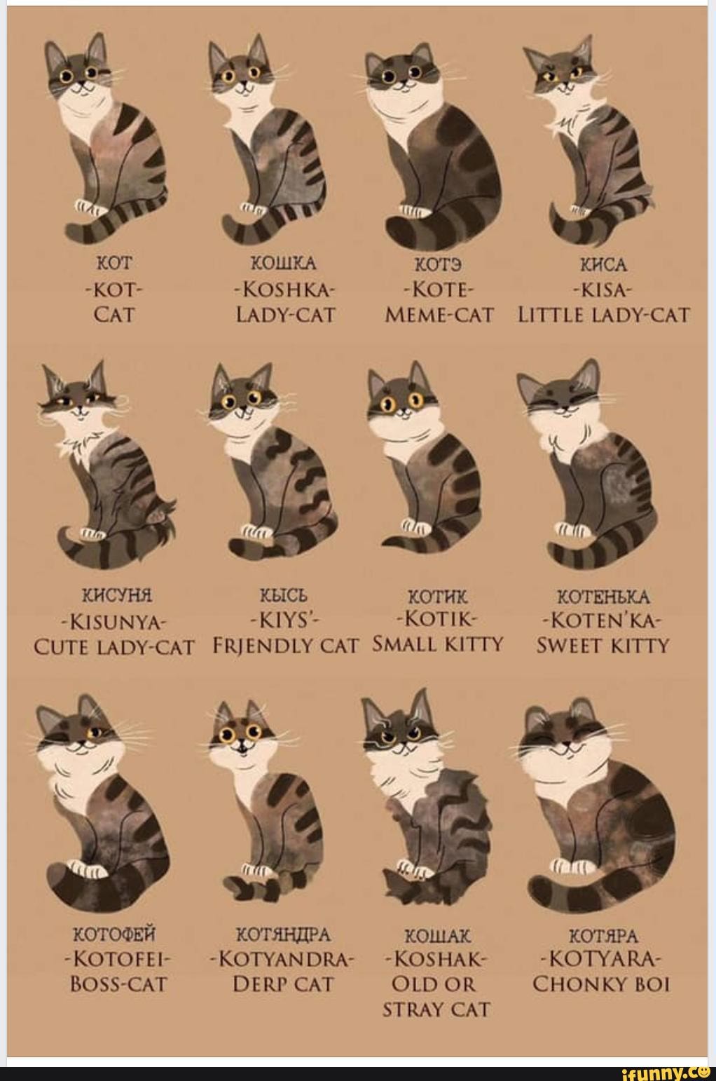 Kothk memes. Best Collection of funny Kothk pictures on iFunny