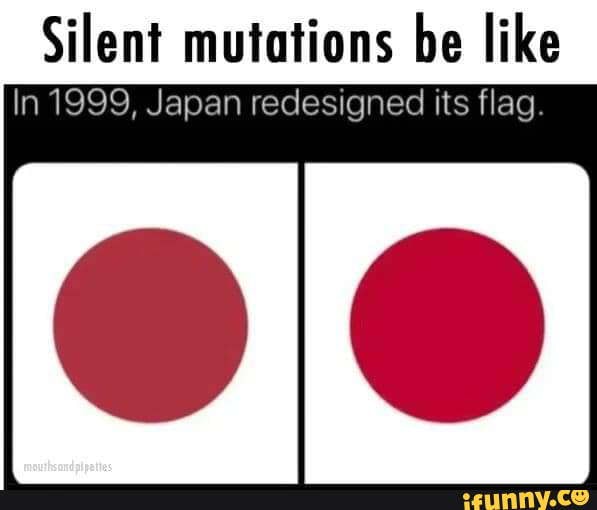 Silent mutations be like In 1999, Japan redesigned its flag. - iFunny