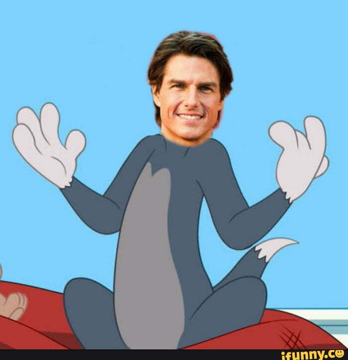 Tom_cat memes. Best Collection of funny Tom_cat pictures on iFunny