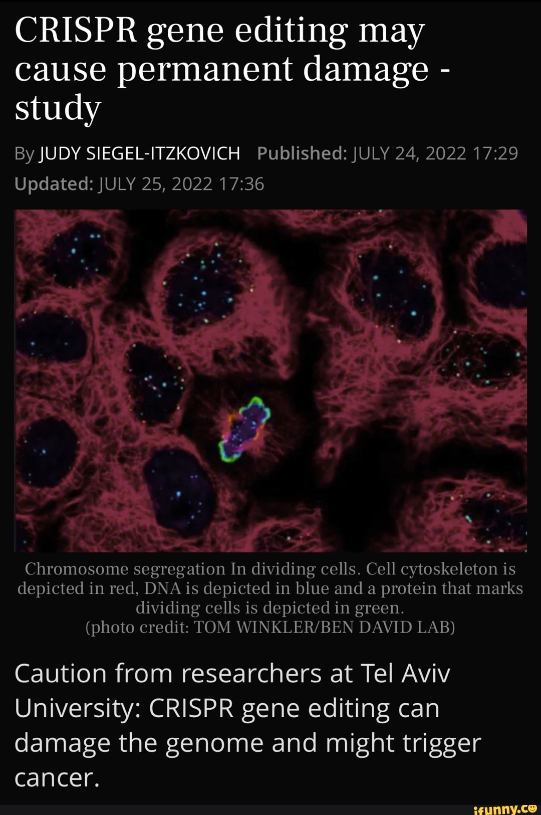 Cytoskeleton memes. Best Collection of funny Cytoskeleton pictures on ...