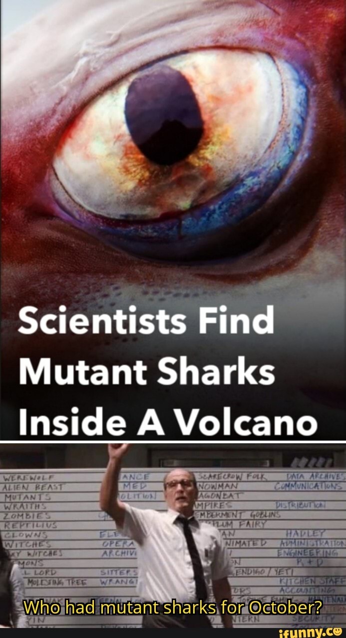 Scientists Find Mutant Sharks Inside A Volcano