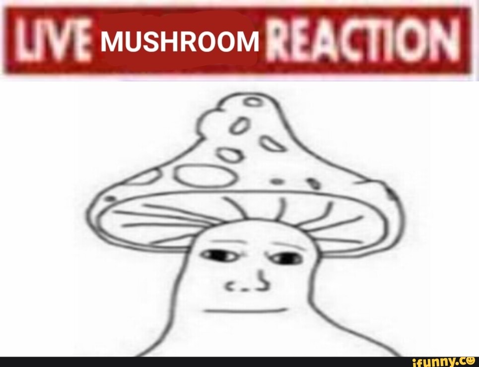 LIVE musHroom REACTION - iFunny
