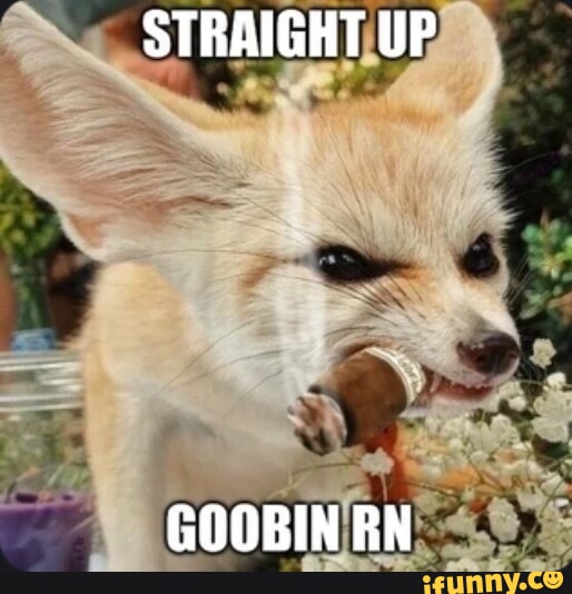 Goobin memes. Best Collection of funny Goobin pictures on iFunny