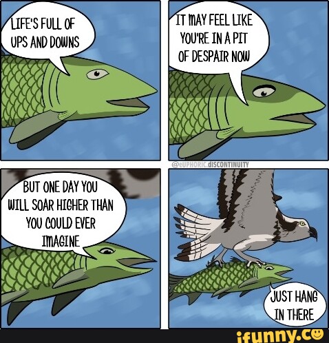 Soar memes. Best Collection of funny Soar pictures on iFunny