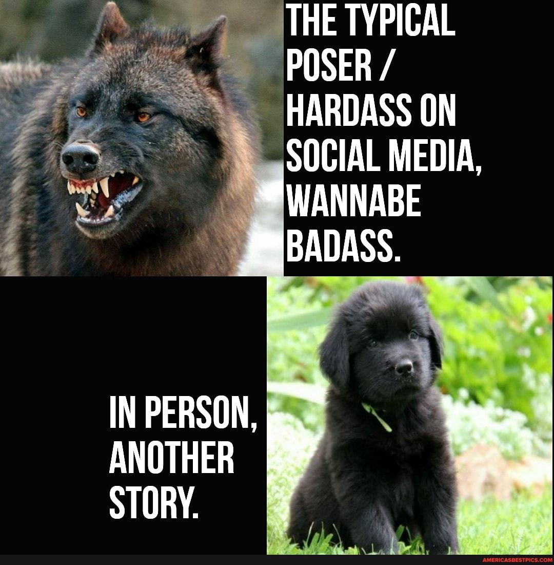 THE TYPICAL POSER / HARDASS ON SOCIAL MEDIA, WANNABE BADASS. IN PERSON ...