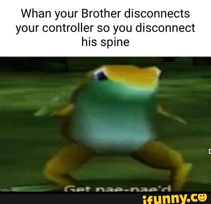 Whan your Brother disconnects your controller so you disconnect his ...