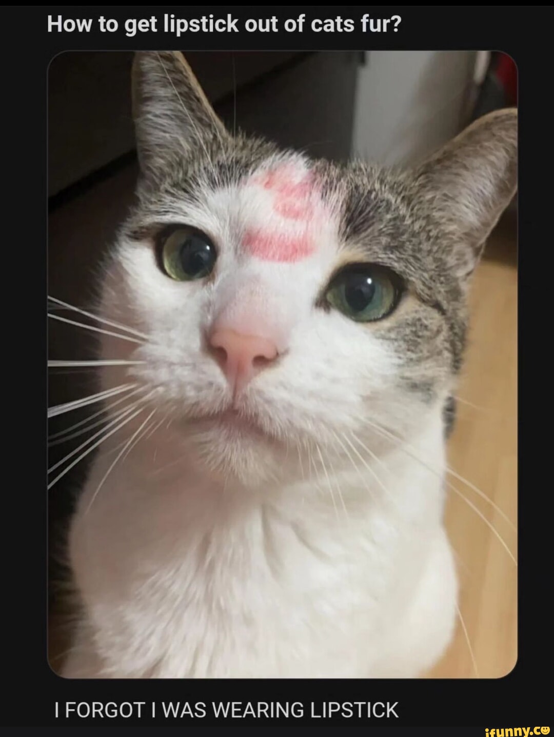 Lipstick memes. Best Collection of funny Lipstick pictures on iFunny