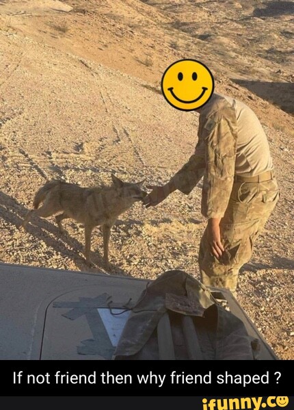 Video memes rRHtxiNj6 by laughtsalot - iFunny