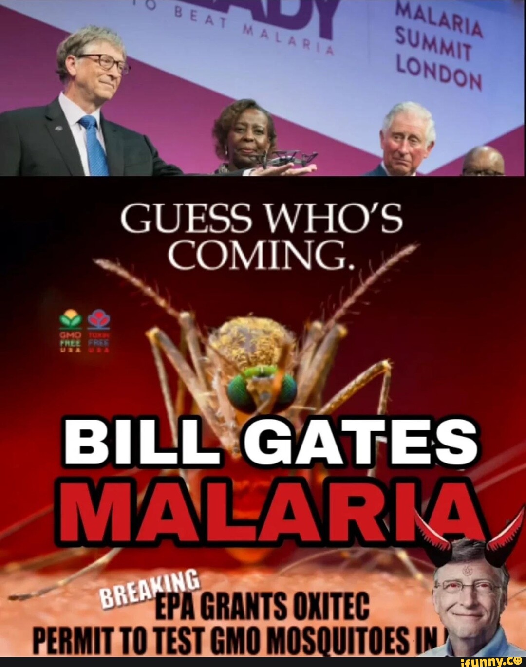 GUESS WHO'S ~ COMING. BILL GATES PERMIT TO TEST GMO MOSOUITOES - iFunny