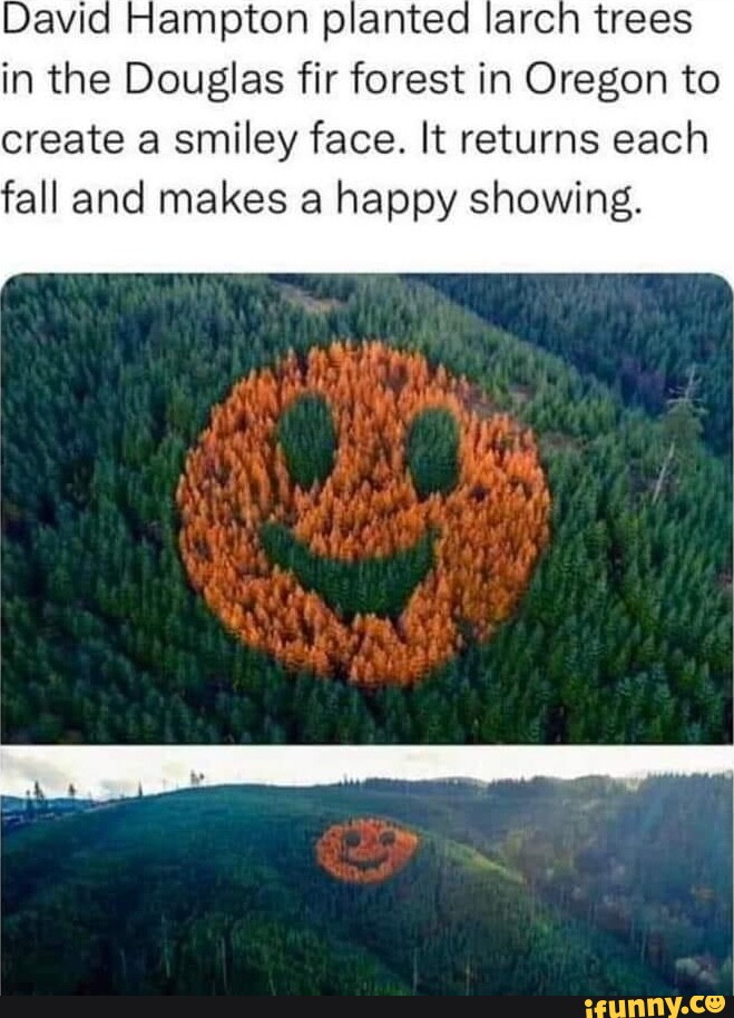 Smiley memes. Best Collection of funny Smiley pictures on iFunny