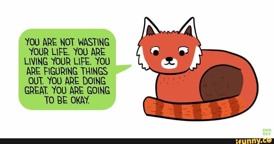 A little Wednesday mood-lifter :) — not sure who the OP was #wholesome# ...