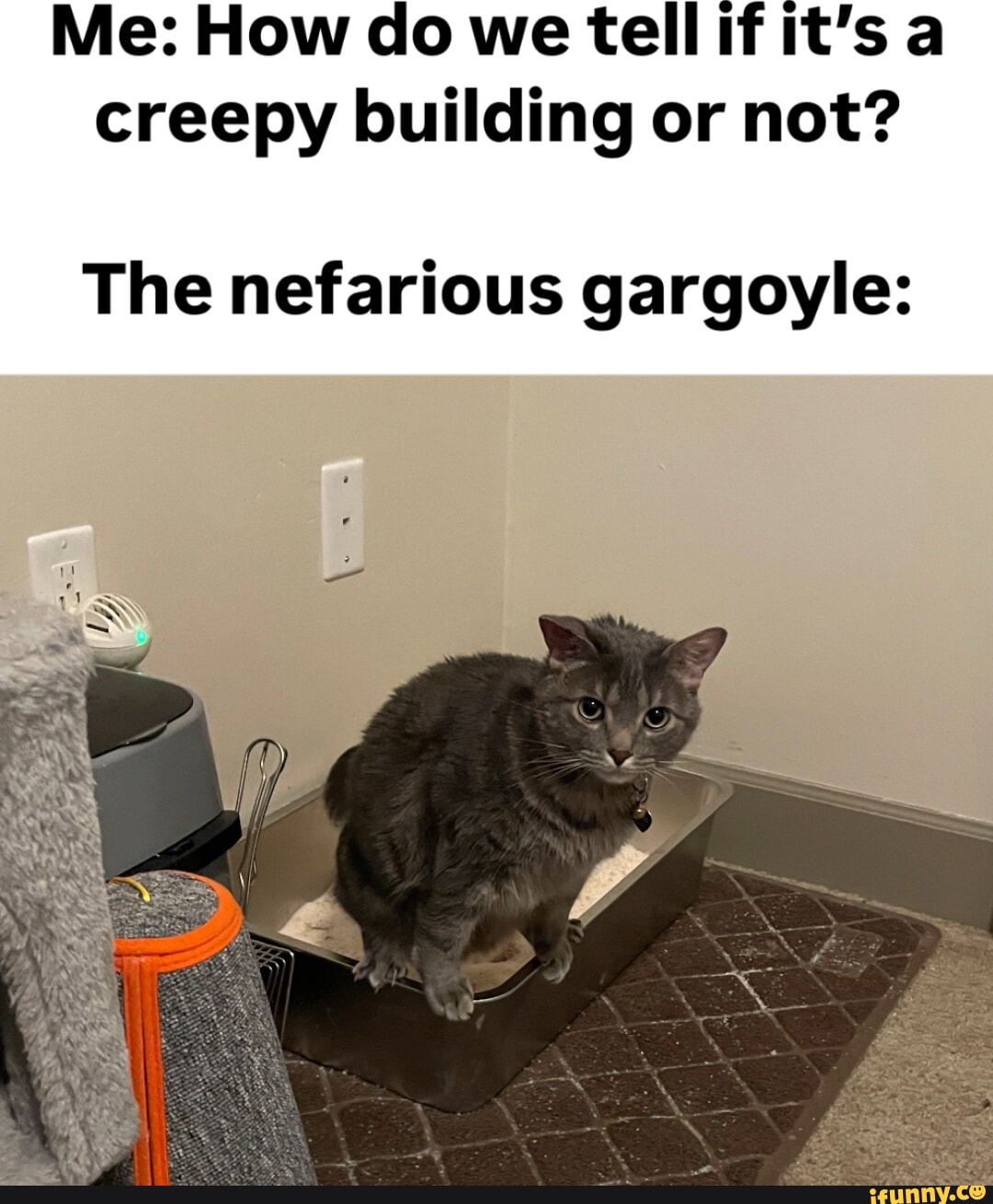 Nefarious memes. Best Collection of funny Nefarious pictures on iFunny