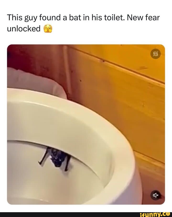 TikTok meal - iFunny