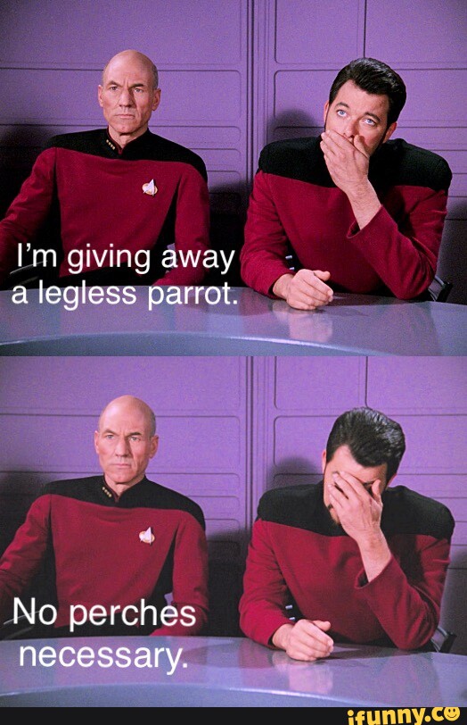 Legless memes. Best Collection of funny Legless pictures on iFunny