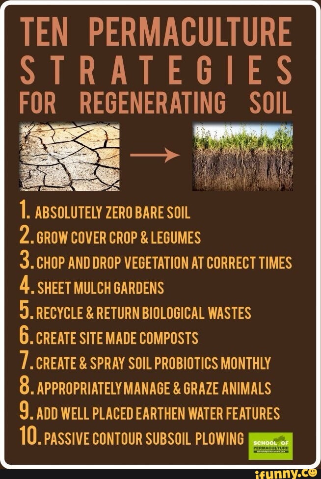 TEN PERMACULTURE STRATEGIES FOR REGENERATING SOIL 1. ABSOLUTELY ZERO ...