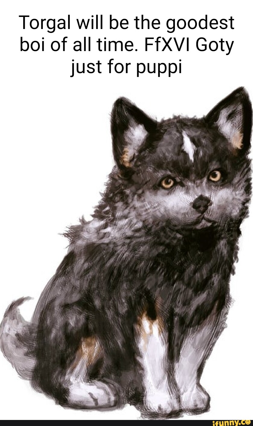 Boi of all time. FfXVI Goty just for puppi Torgal will be the goodest ...