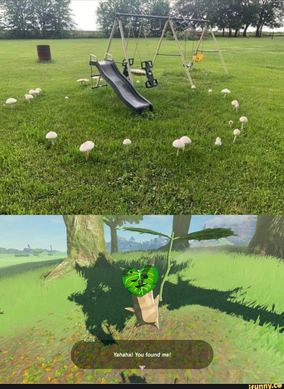 Koroko memes. Best Collection of funny Koroko pictures on iFunny