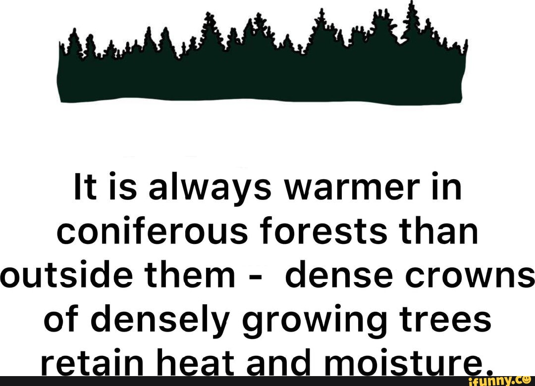 Moisture memes. Best Collection of funny Moisture pictures on iFunny