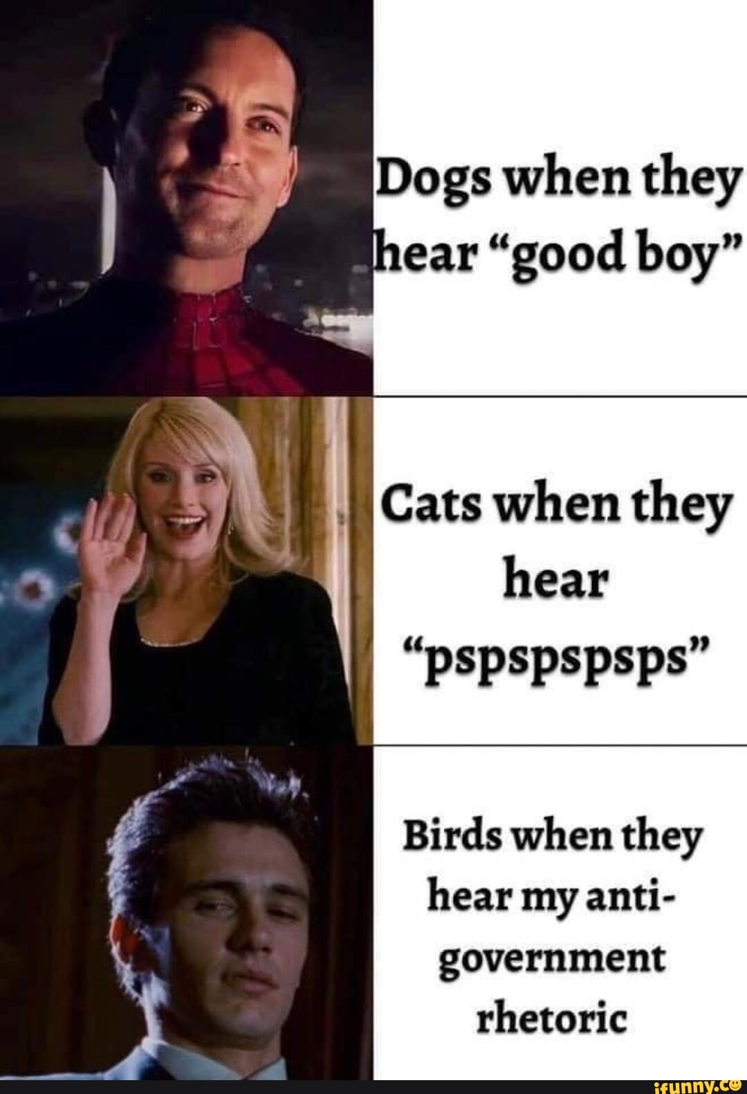 Dogs they lnear Cats when they hear "pspspspsps" Birds when they hear ...