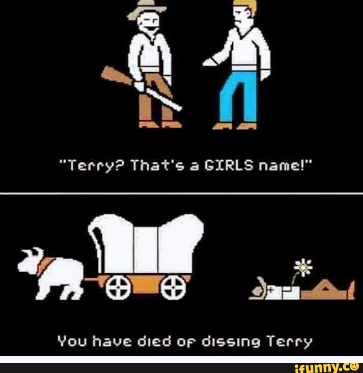 Be "Terry? That's a GIRLS name!" You have died of dissing Terry - iFunny