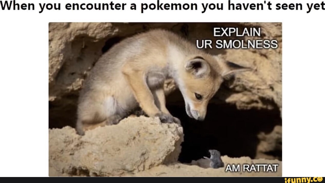 Memesdaily memes. Best Collection of funny Memesdaily pictures on iFunny