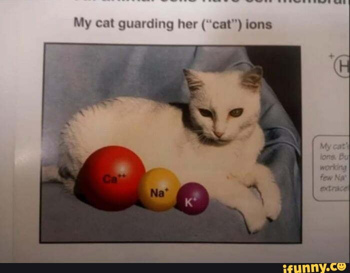 Electromagnetical memes. Best Collection of funny Electromagnetical ...