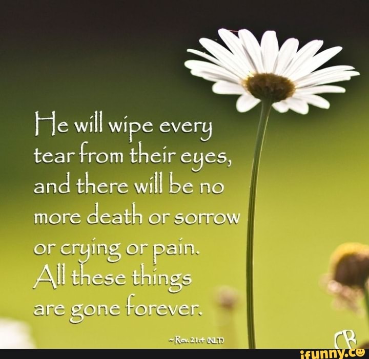 He will wipe every tear from their eyes, and there will be no more ...