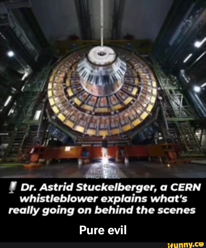 Dr. Astrid Stuckelberger, a CERN whistleblower explains what's really ...