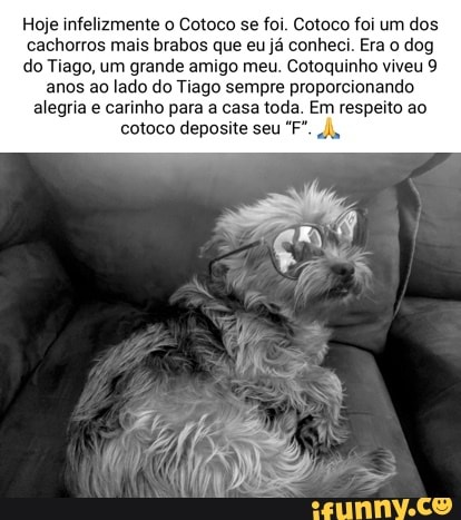 Hoje infelizmente o Cotoco se foi. Cotoco foi um dos cachorros mais ...
