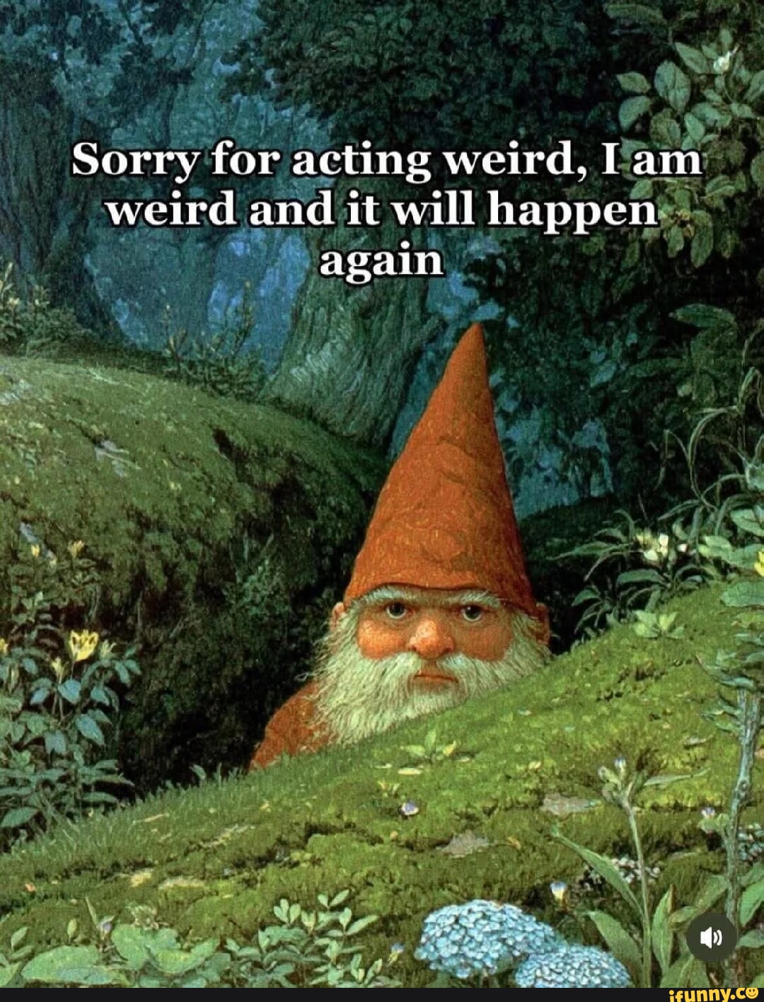 Sorry for acting weird, Lam weird and it will happen again - iFunny
