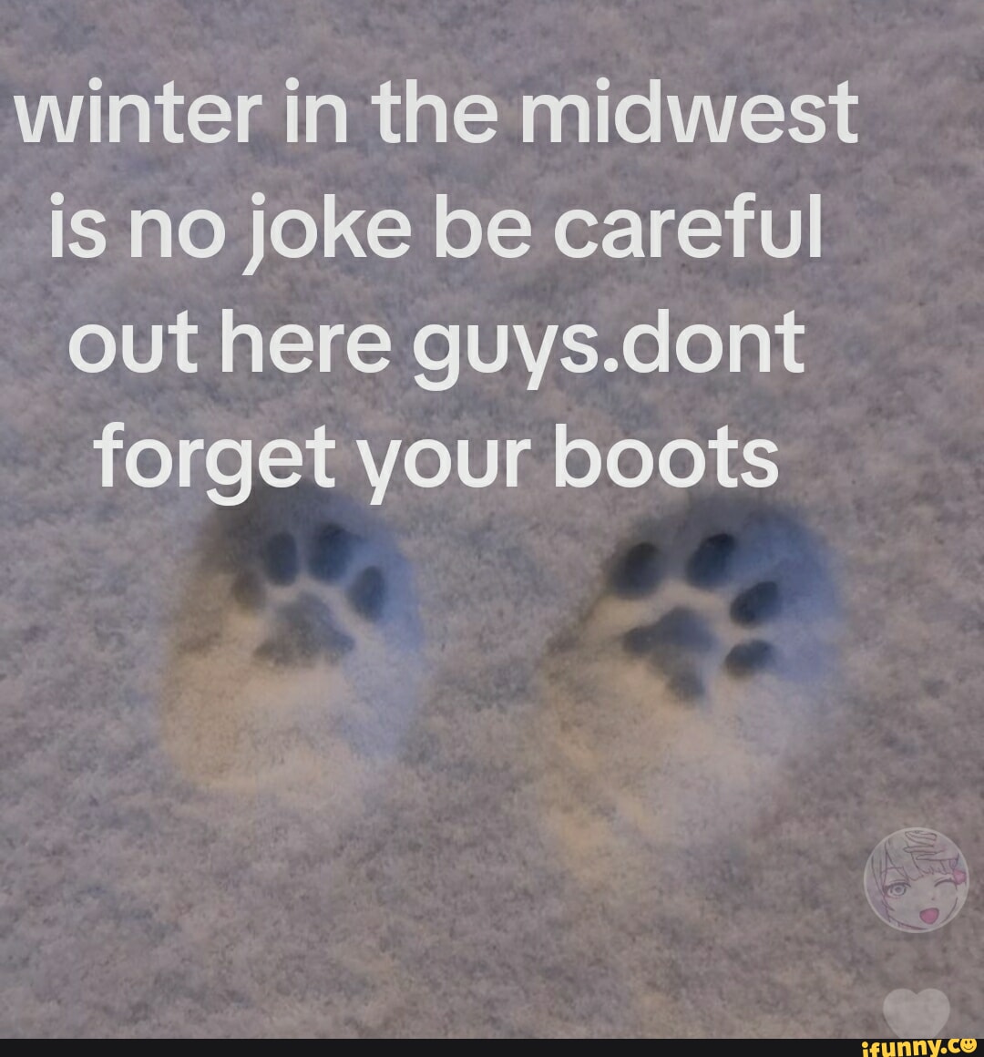 iFunny - the best memes, video, gifs and funny pics in one place