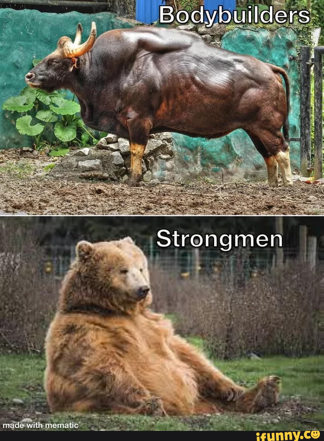 Picture memes eRwjqmv5B by mr_deadguy: 2 comments - iFunny