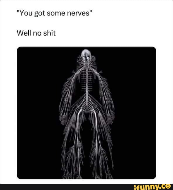 Nerves memes. Best Collection of funny Nerves pictures on iFunny