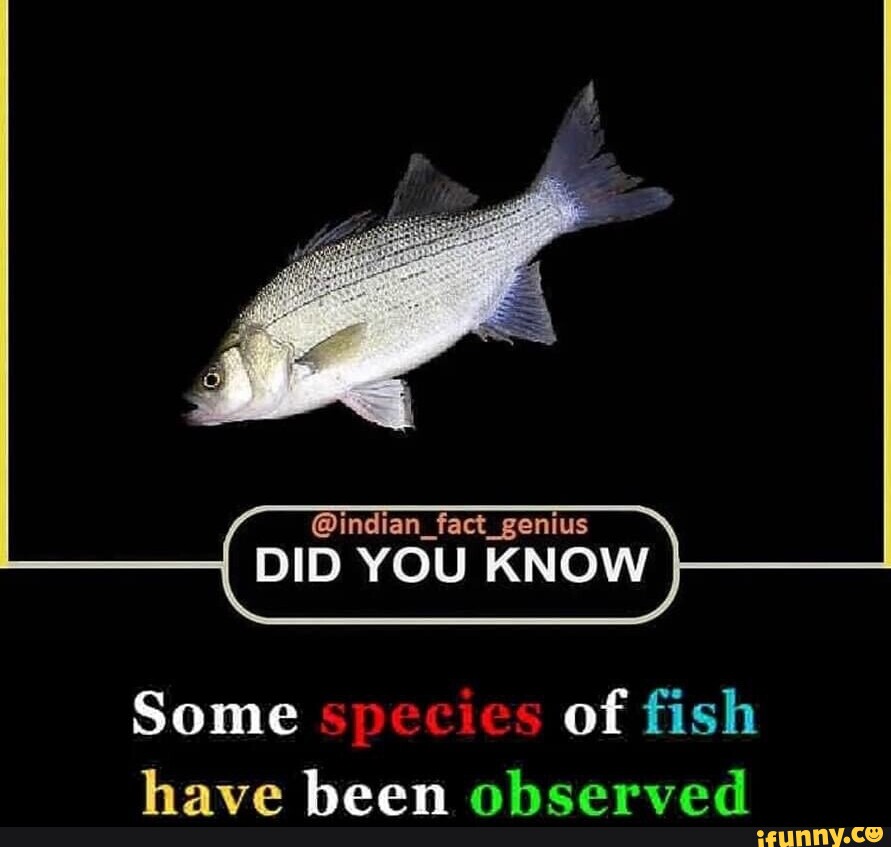 @indian_fact_genius DID YOU KNOW Some specics of fish have been ...