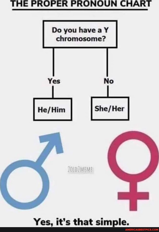 THE PROPER PRONOUN CHART Do you have a Y chromosome? Yes No She/ Yes ...