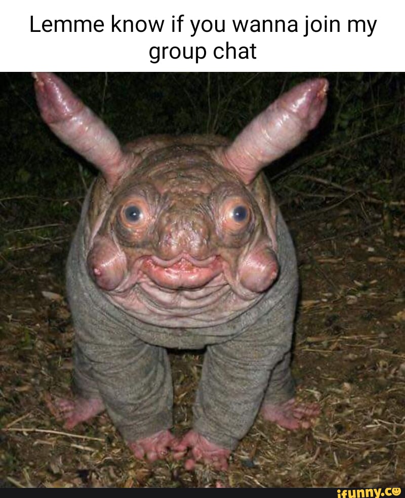 Lemme know if you wanna join my group chat - iFunny
