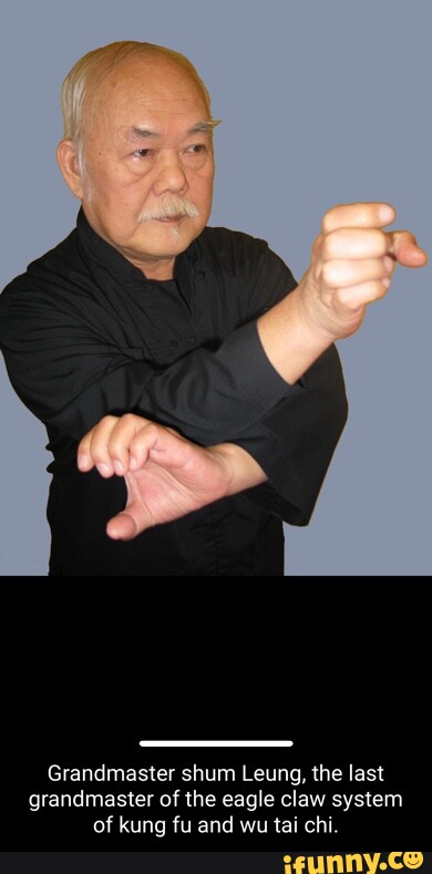 Grandmaster shum Leung, the last grandmaster of the eagle claw system ...