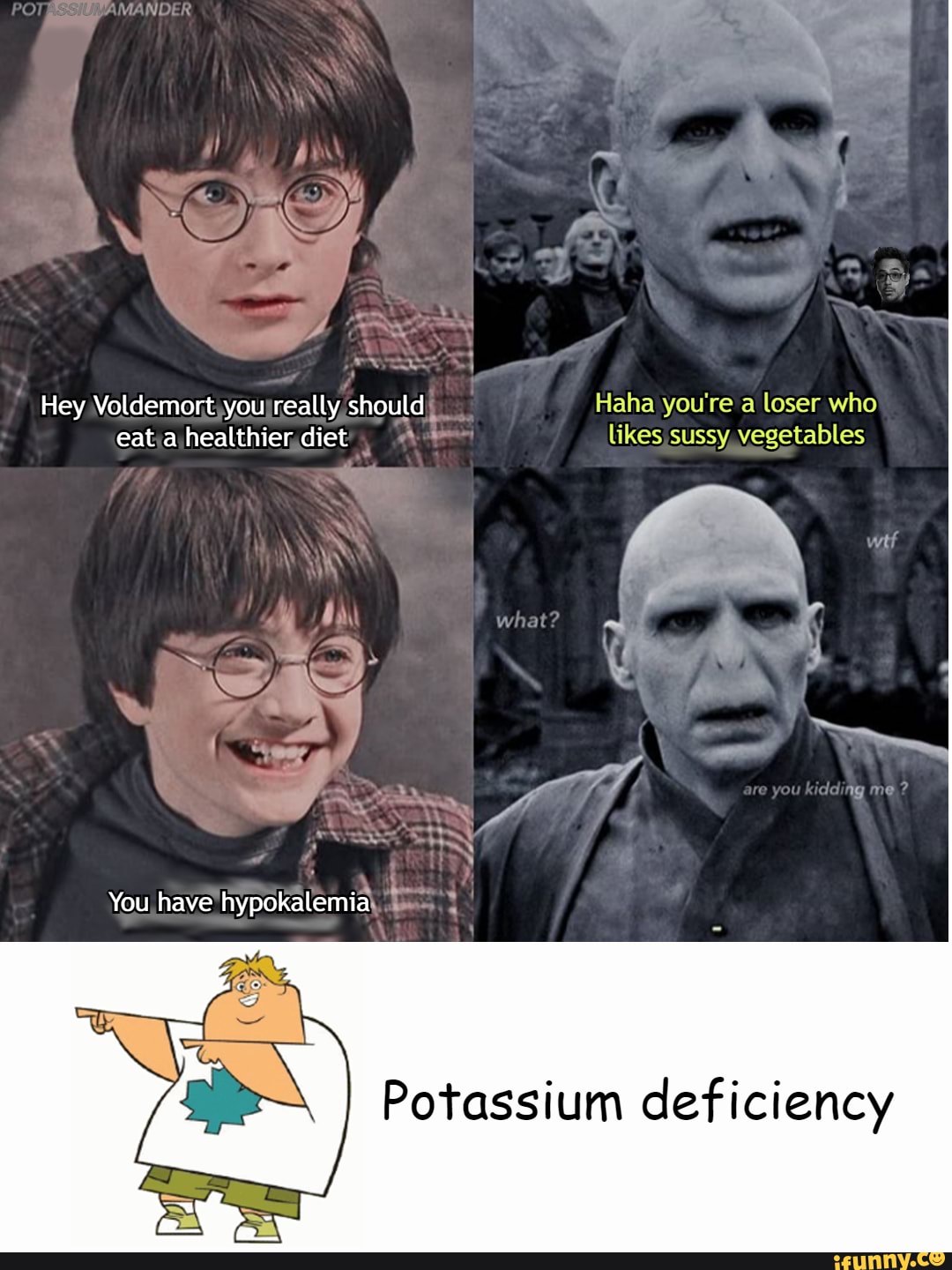RA Hey Voldemort you really should , Haha you're a loser who eat a ...