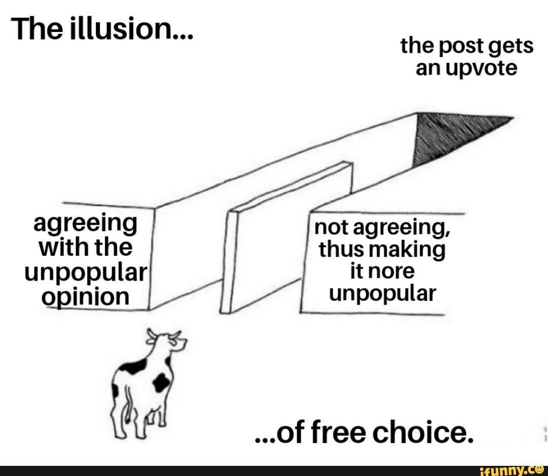 Unpopular Opinion Meme