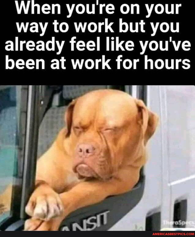 When youre on your way to work but you already feel like you've been at ...