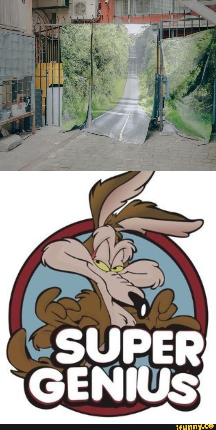 Roadrunner Memes